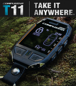 Car Remote Starter installation toronto, viper remote starter toronto ...